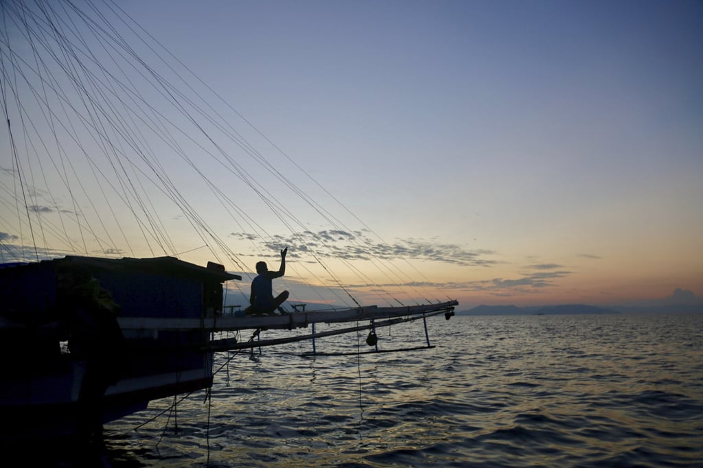 The best place to swim with whale sharks? Saleh Bay, in Indonesia’s ...