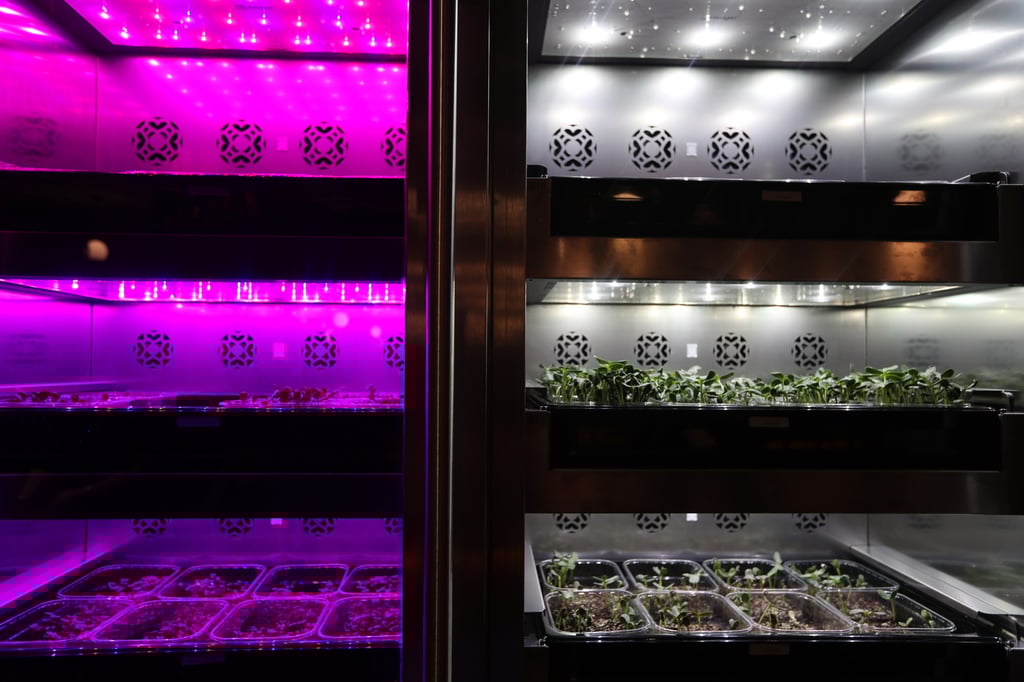 Hong Kong’s 4 best farm-to-table sustainable restaurants, from Michelin ...