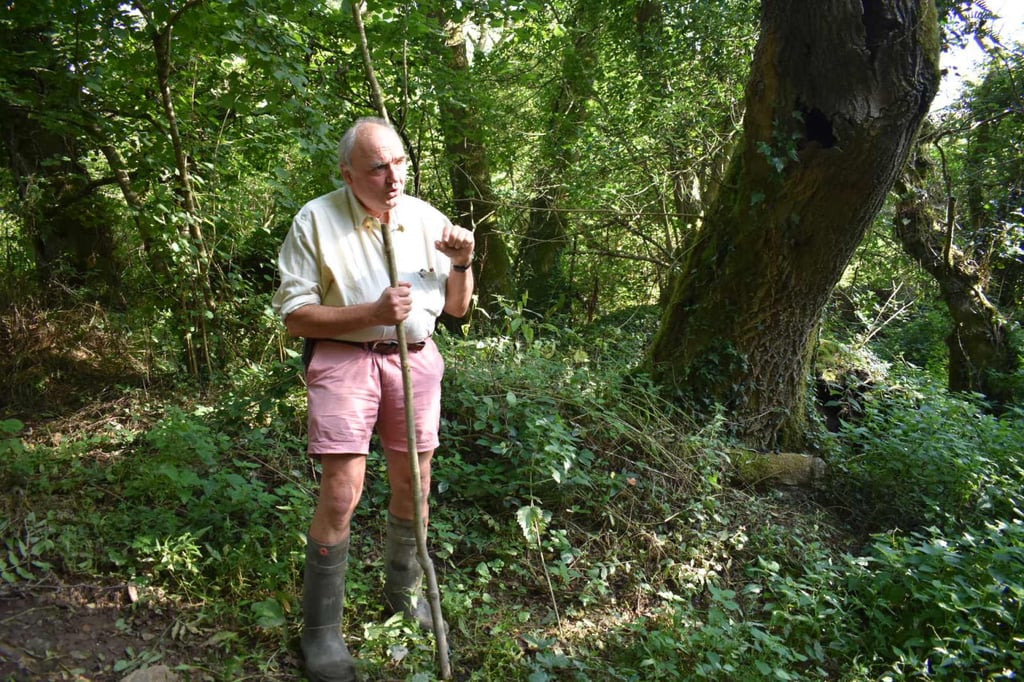 chris jones cornwall