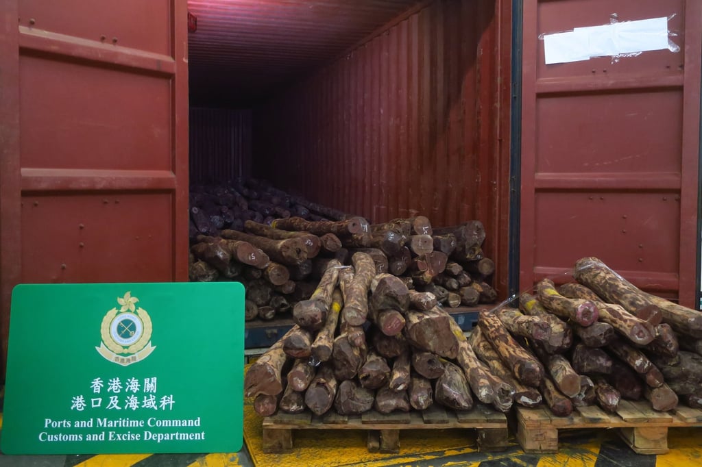Hong Kong cracks down on smugglers of rare wood, seizing HK$39.7 ...