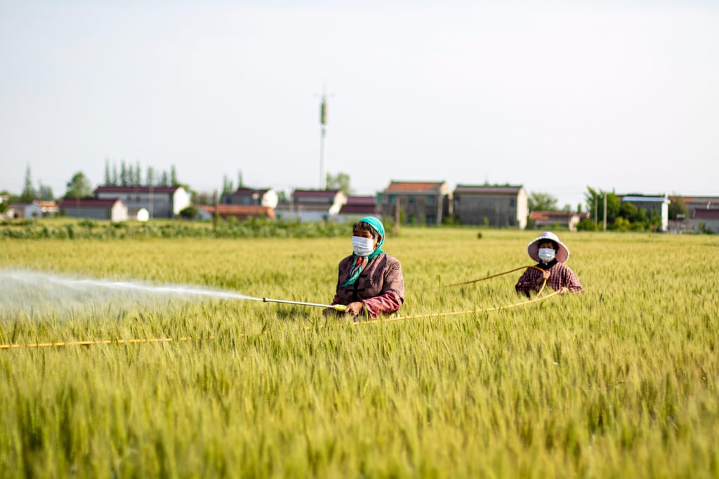 Climate change: new studies highlight threat to food security in East ...