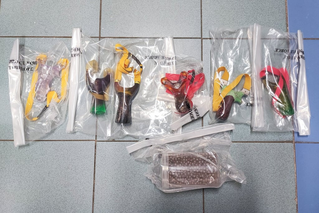 Hong Kong police seize weapons stash, arrest suspected triad member ...