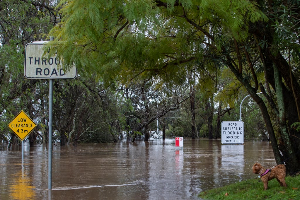 flash flooding nsw