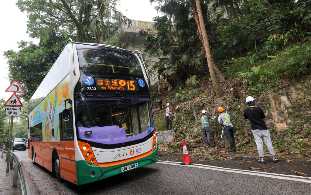 Tree that fell on Hong Kong bus during No 3 typhoon warning, injuring 7 ...