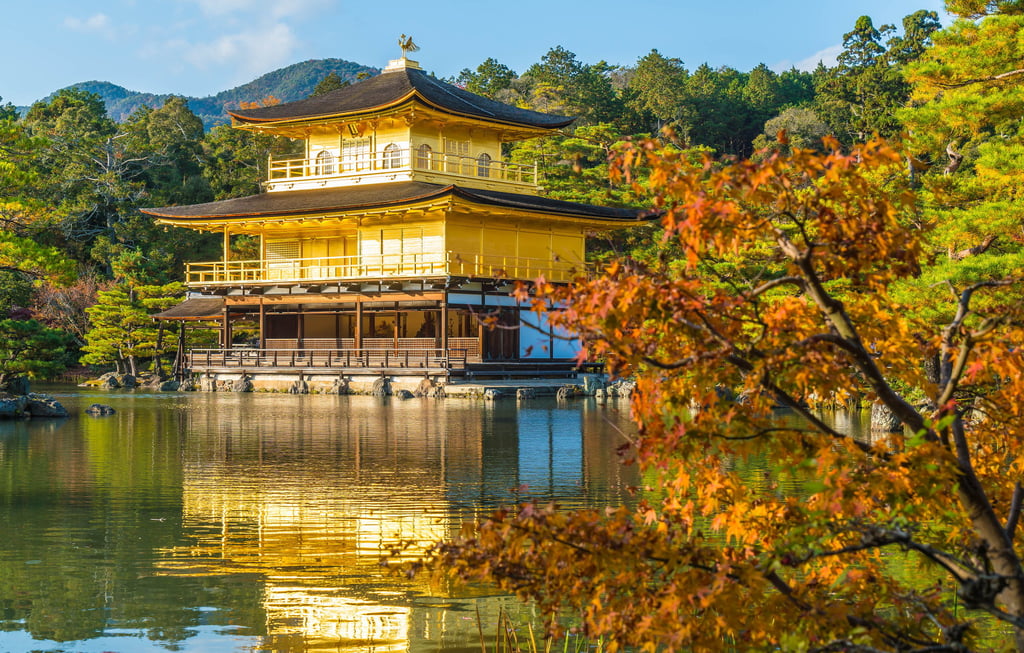 Travelling to Kyoto? Avoid overcrowded tourist hotspots with new online ...