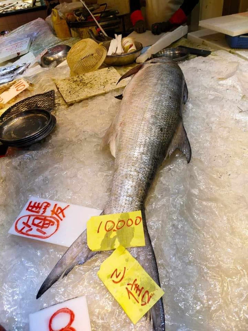 Super seafood: Hong Kong wet market slaps US$1,280 price tag on rare ...