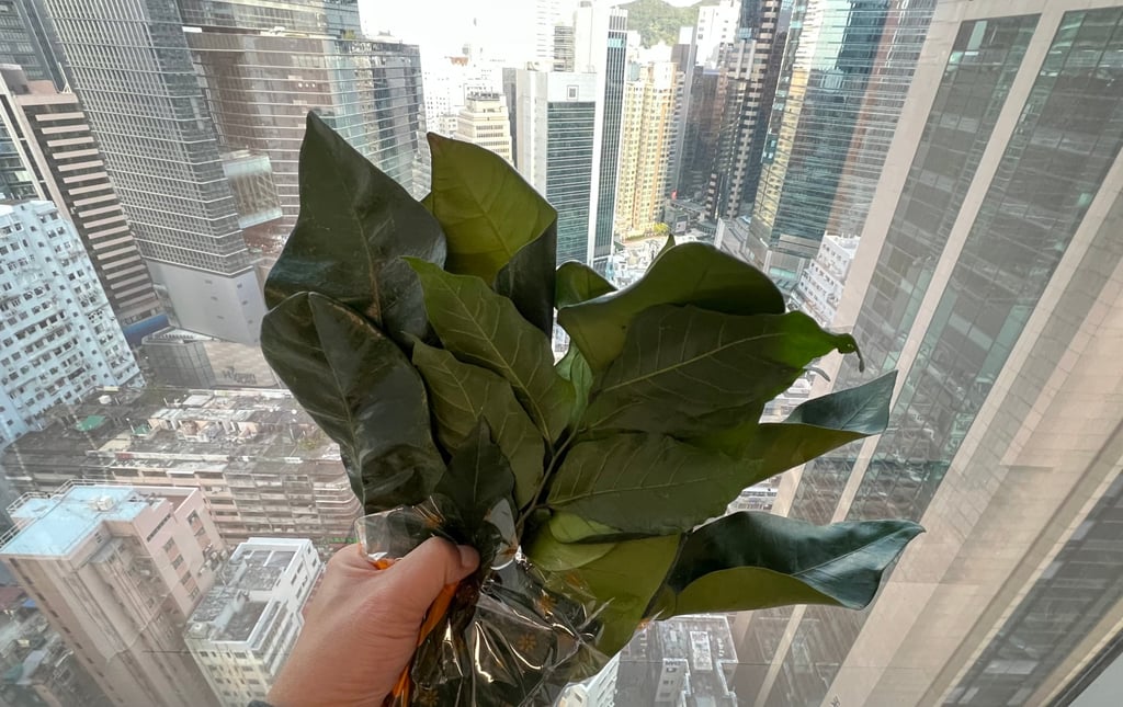 Explainer | Lunar New Year: from pomelo leaves to Tasmanian cherries ...