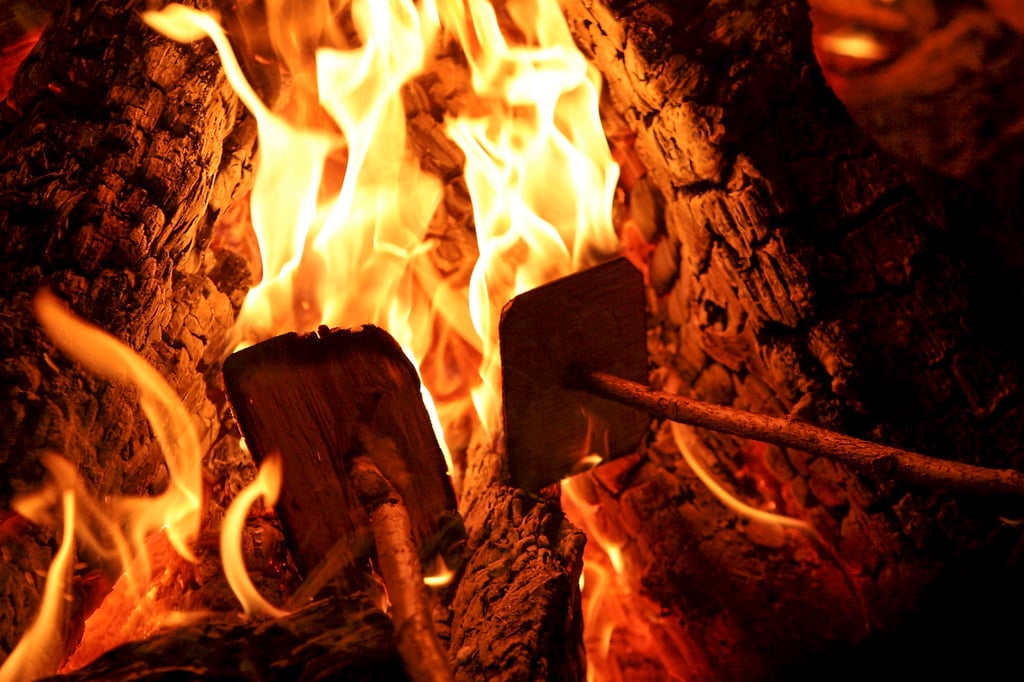 Climate change halts Swiss winter festival in which single males fling ...