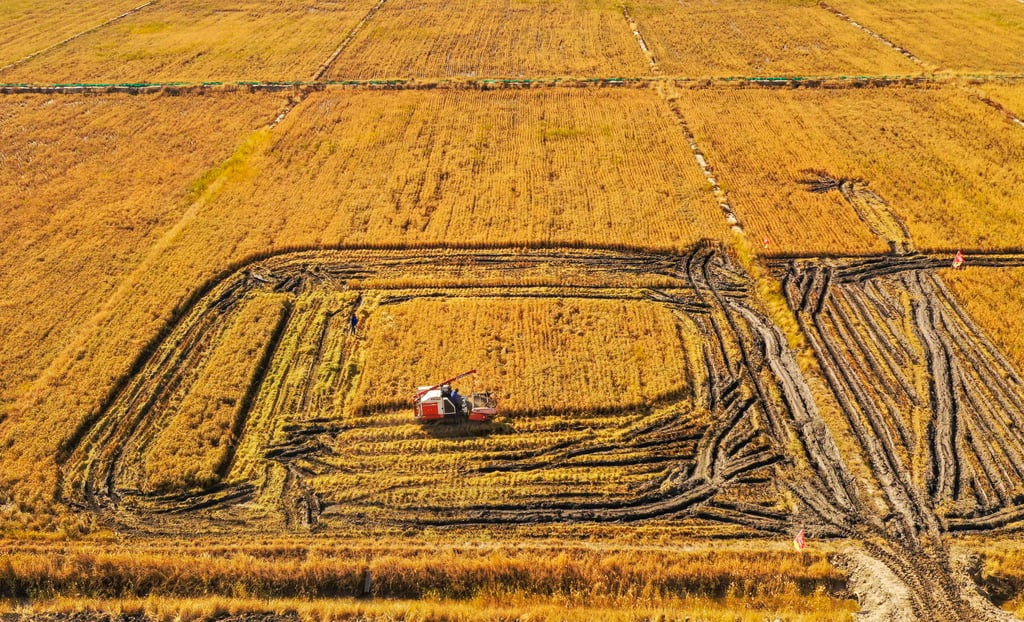 Carbon-neutrality: scientists in China propose new system to achieve ...