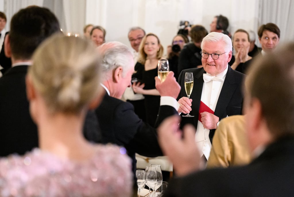 King Charles vows solidarity with Ukraine during 1st state visit to ...