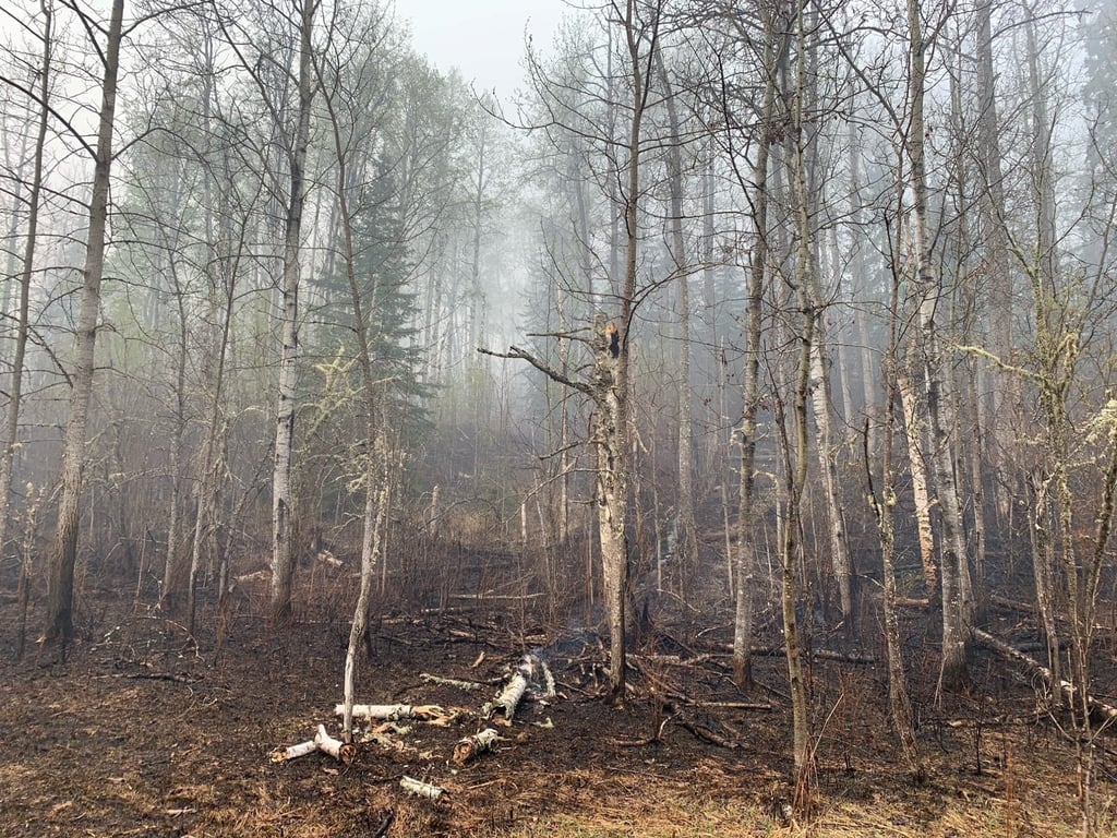 Canada’s province of Alberta faces more wildfires amid hot, dry weather ...