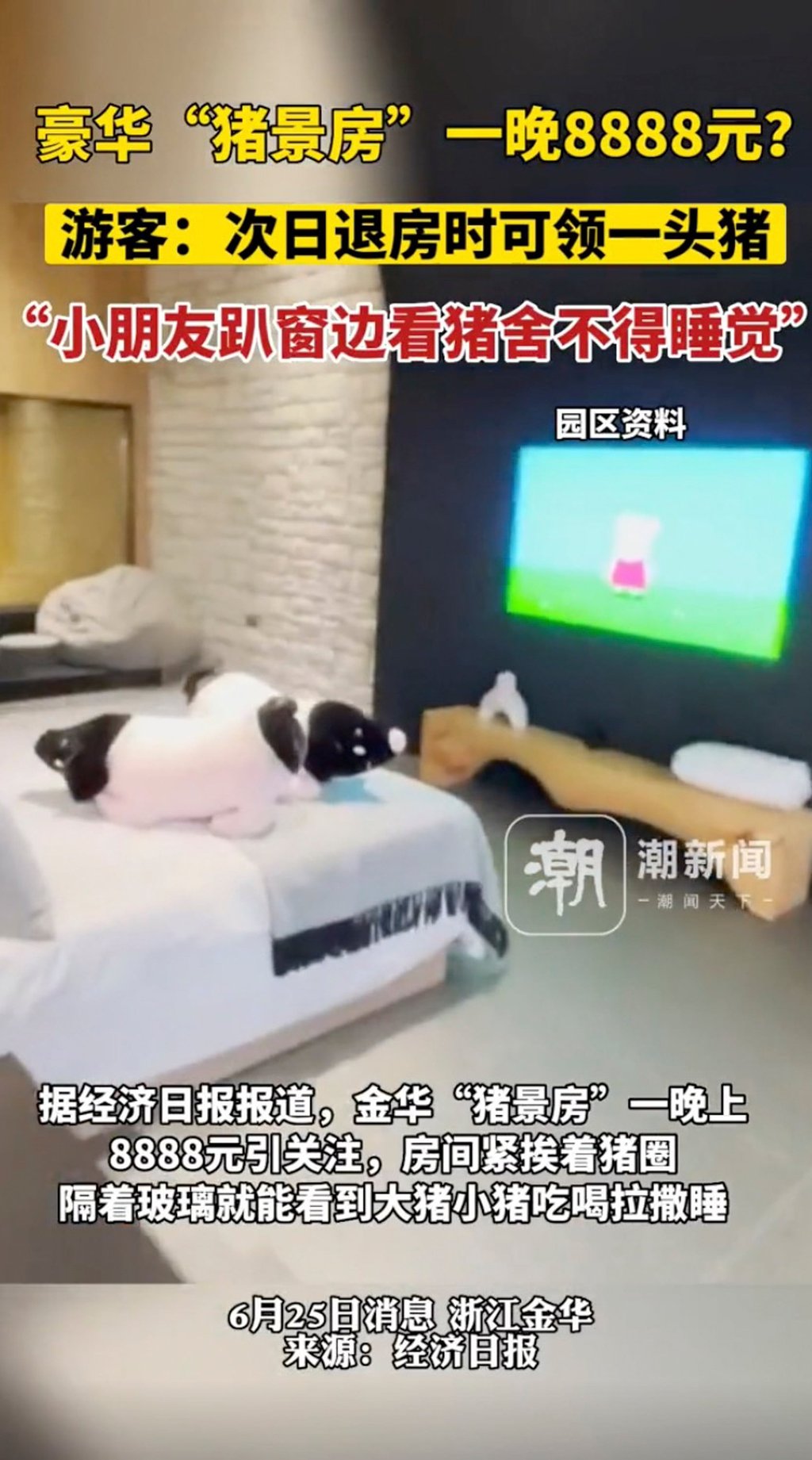 ‘Luxury pig-view hotel room’: China suite offers US$1,230 a night stay ...
