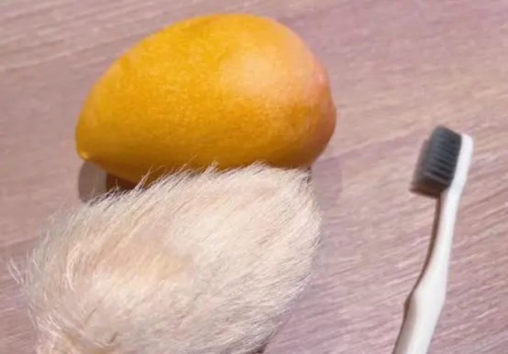 fluffy mango seed