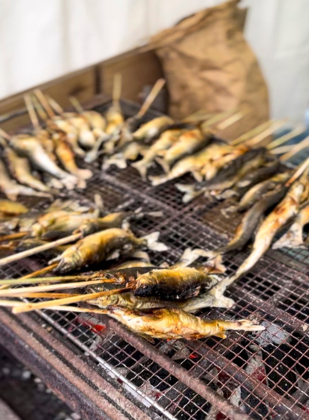 On the Menu | Food hits at Japan’s Fuji Rock music festival: fried ...