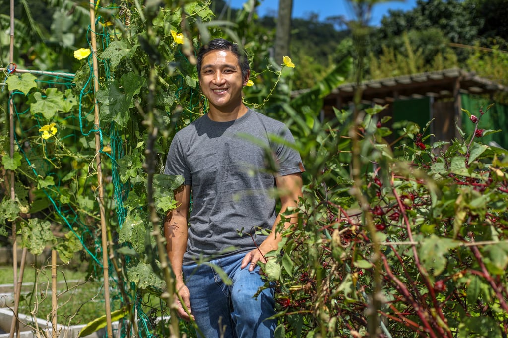 How to grow your own food at home in an apartment – tips on creating an ...
