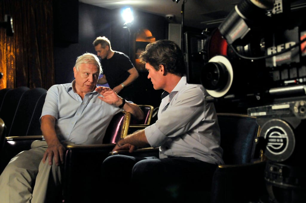 A Plastic Ocean filmmaker Craig Leeson on what drives him to ‘change ...