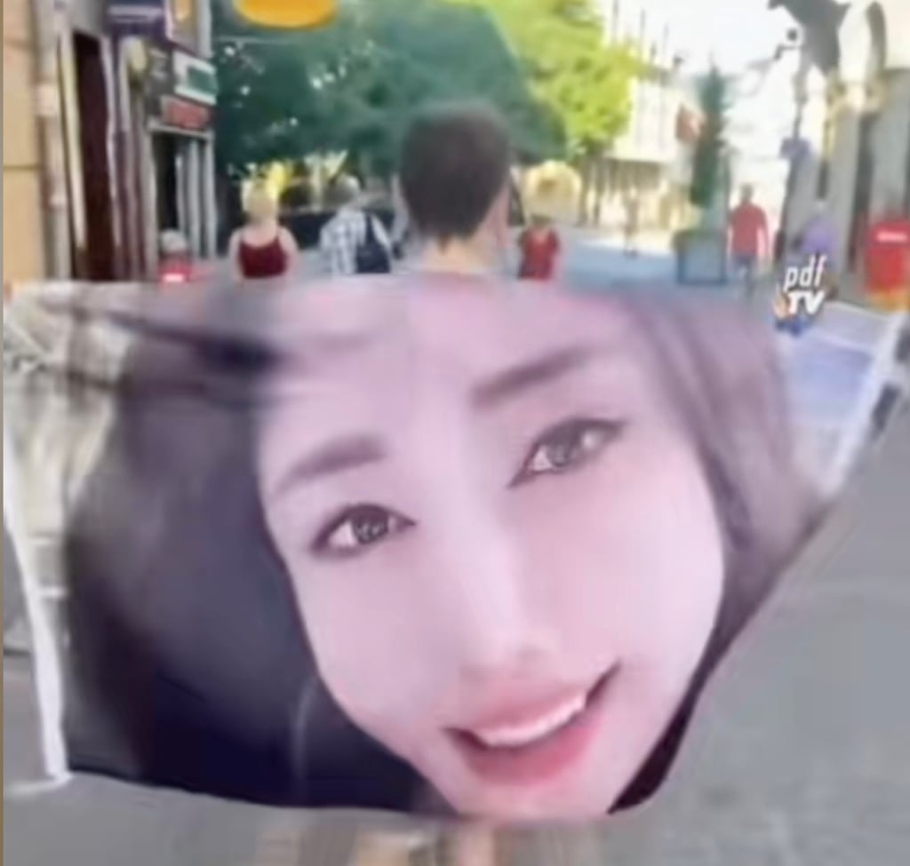 Not a fake: social media in China delighted to discover world-famous Jiafei meme is real | South ...