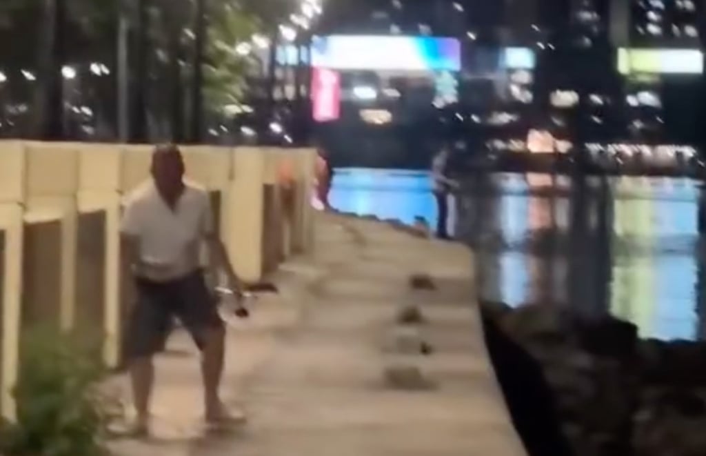 Police arrest 2 in Hong Kong on suspicion of animal cruelty after birds ...