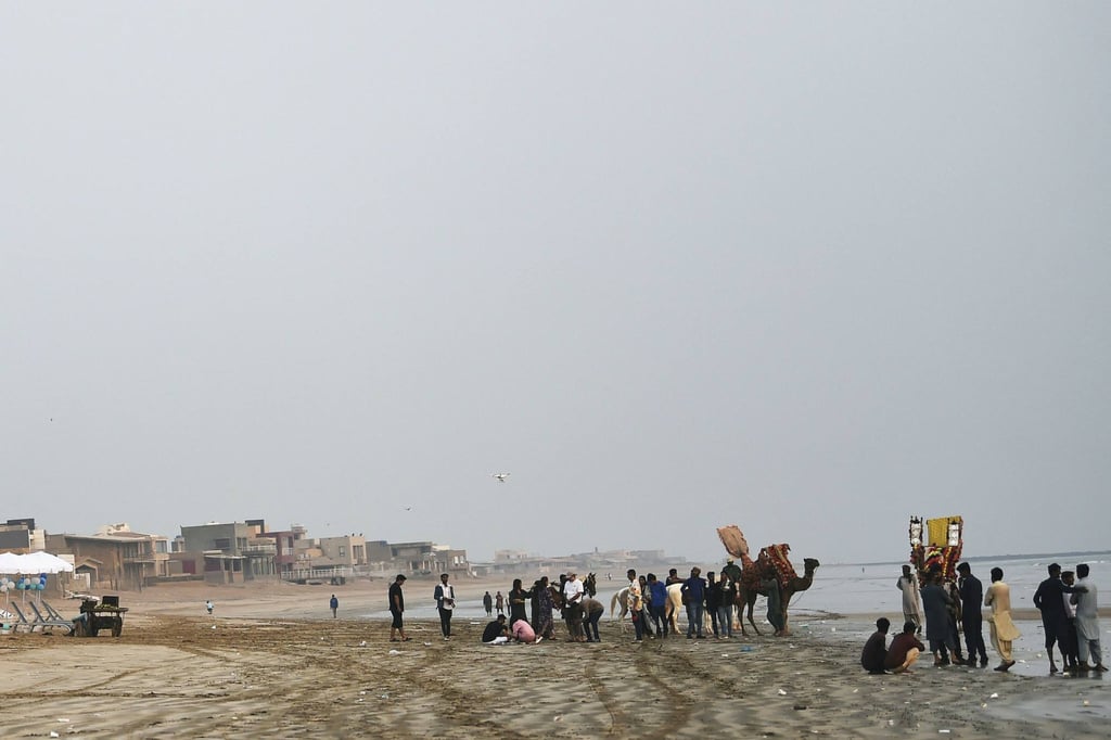 As Pakistan’s urban sprawl spreads, green turtles fight for survival in ...
