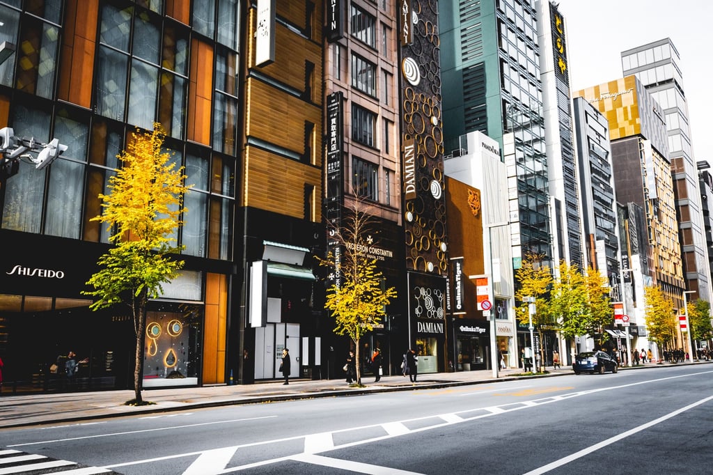 Chinese tourists make a welcome return to Japan for high-end medical ...