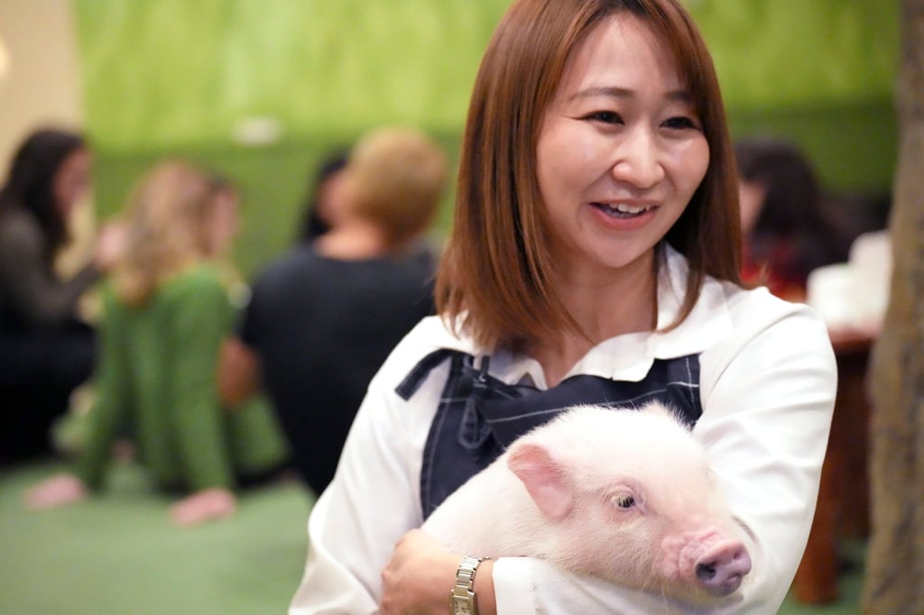Forget cat cafes, Japan now has coffee shops where you can cuddle a pig ...