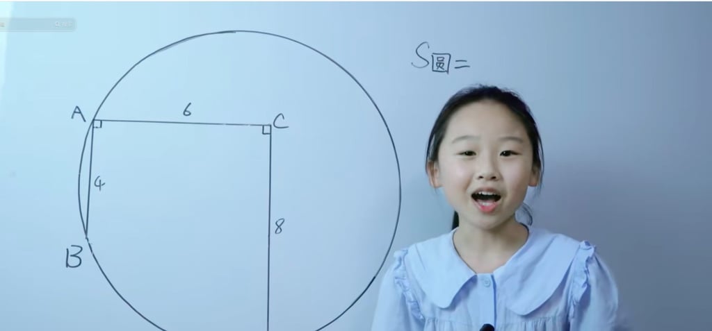 Talented China girl, 12, teaches college-level maths online, attracts 2 ...