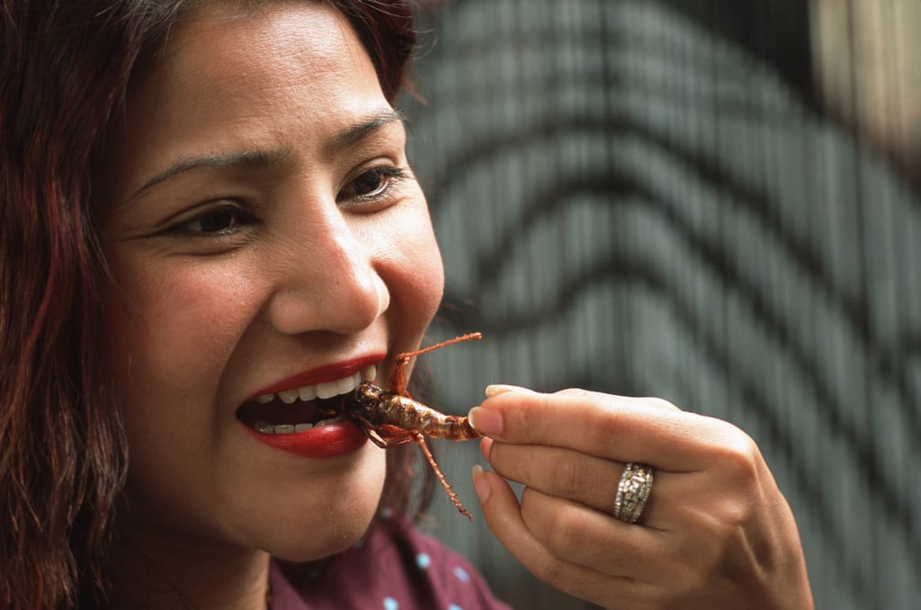 Singapore approved insects as food, but can consumers stomach it ...