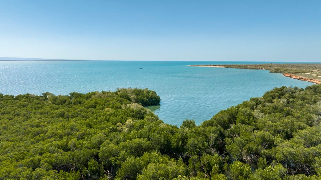 Style Edit: Rolex’s Perpetual Planet Initiative champions marine ...