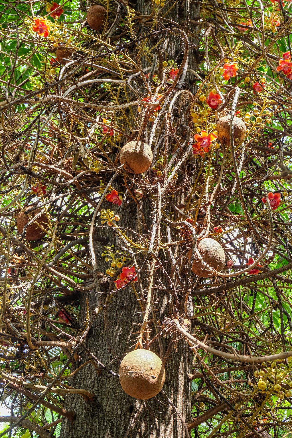 Thailand’s ‘Lost Kingdom’ in suburban Chiang Mai, where ancient temples ...