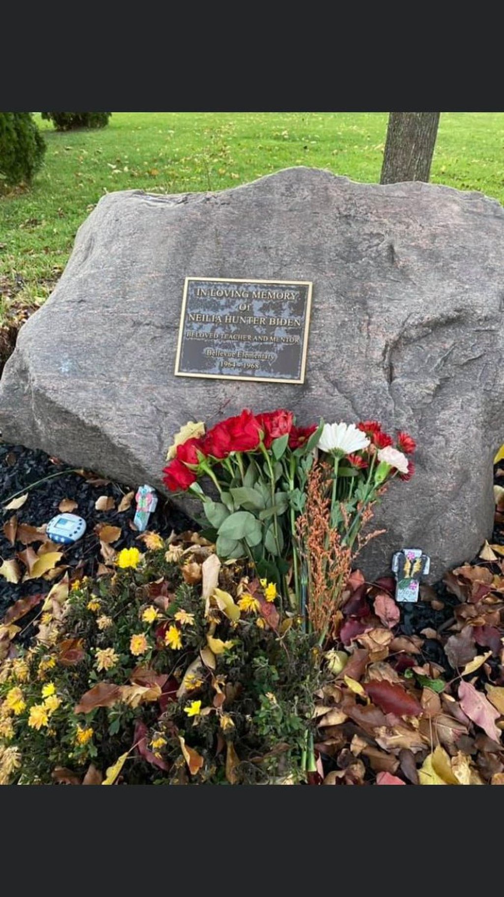 Who was Joe Biden’s first wife, Neilia Hunter-Biden? The US president ...