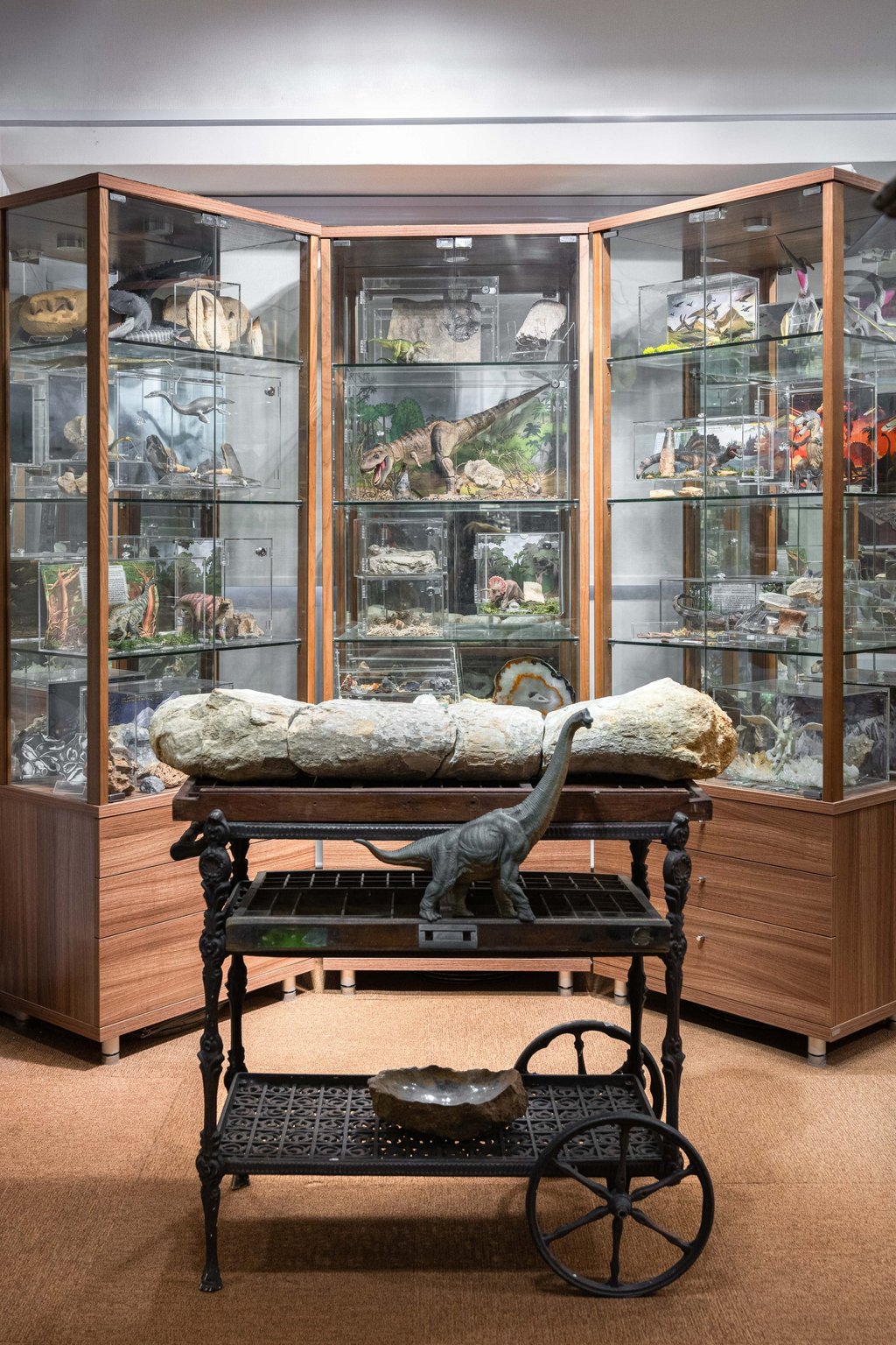 Christian Pilard’s Little Museum of the World in Hong Kong: pet a ...