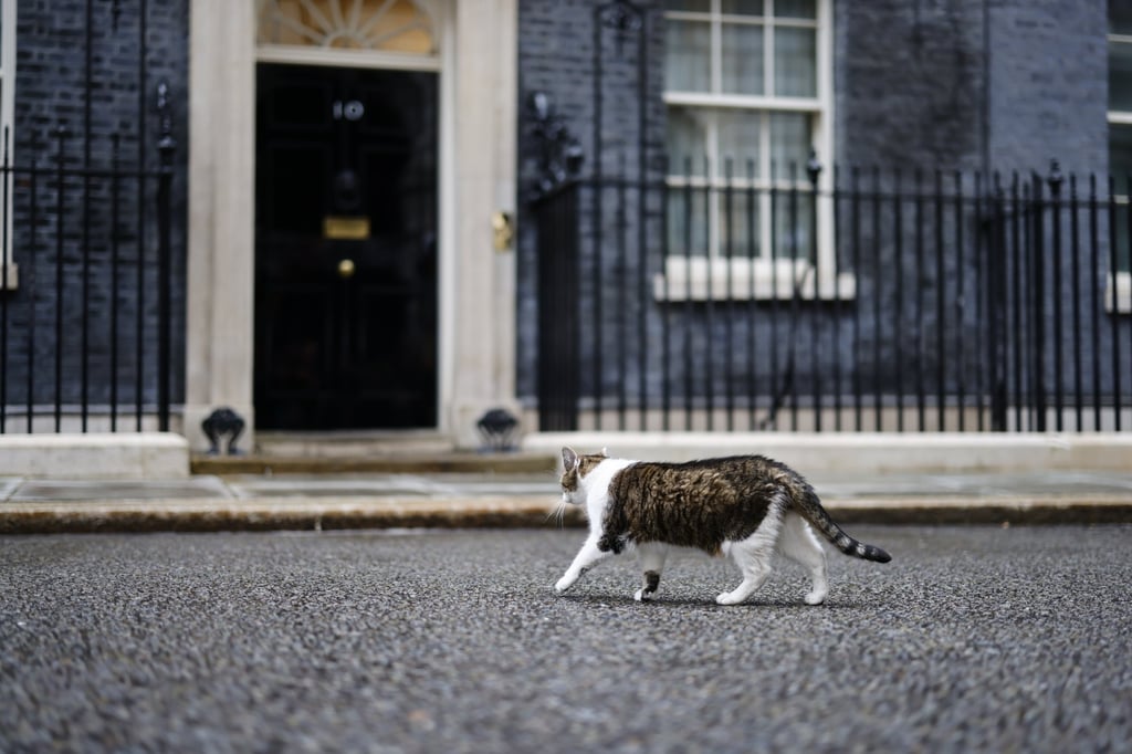 Larry the cat is training yet another UK prime minister in Downing ...