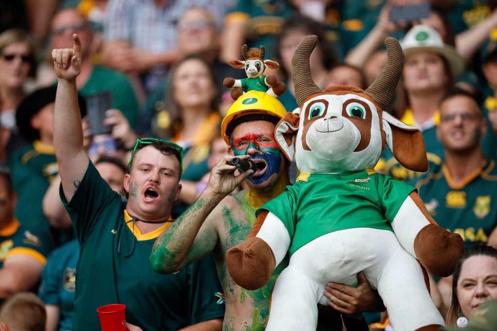 Springboks up for sale to private equity group, SA Rugby to hand over ...