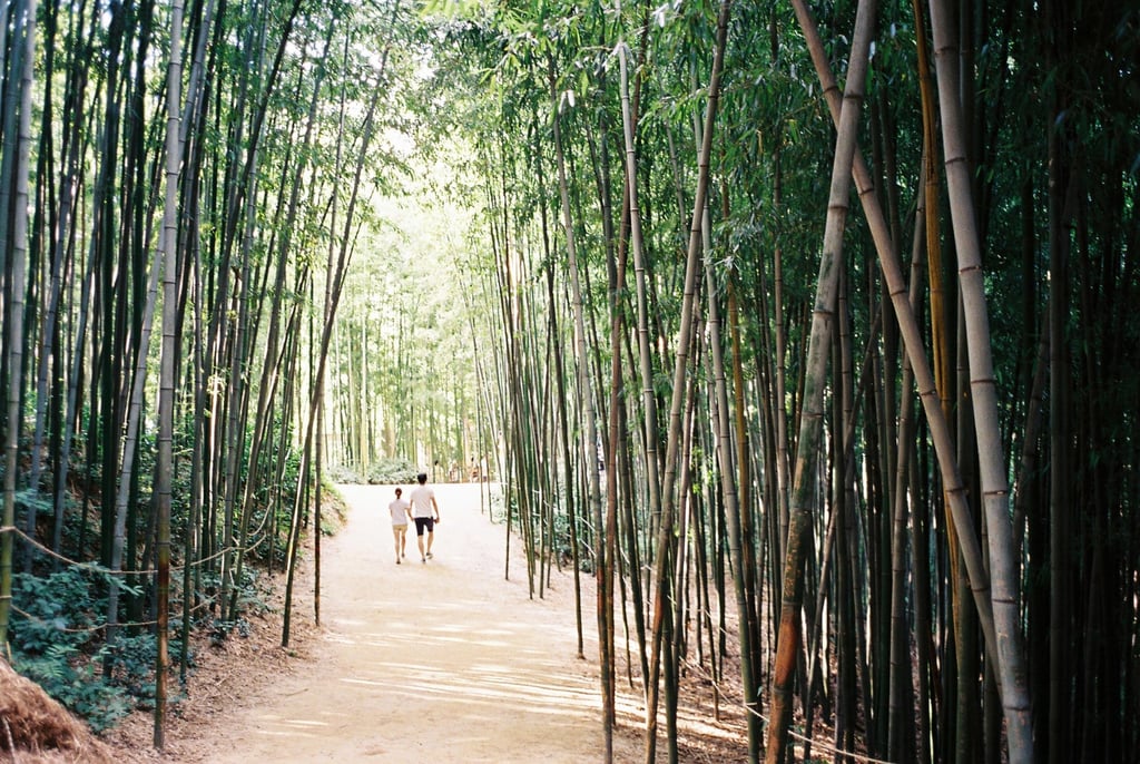 Far from Seoul, natural and cultural gems make for a special autumn ...