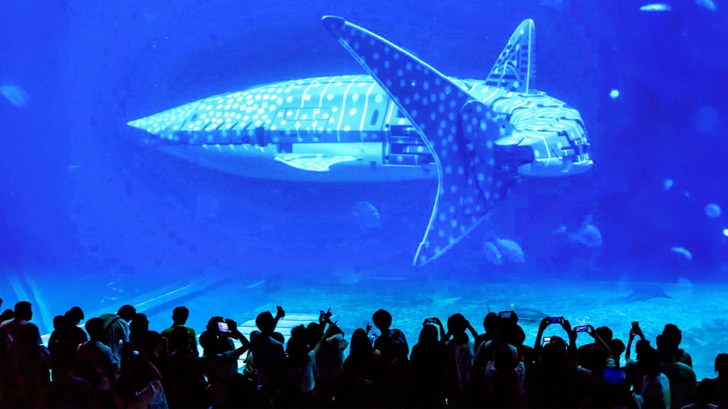 Actress Rosamund Pike embraces Mandarin, fake whales in aquariums: 5 ...