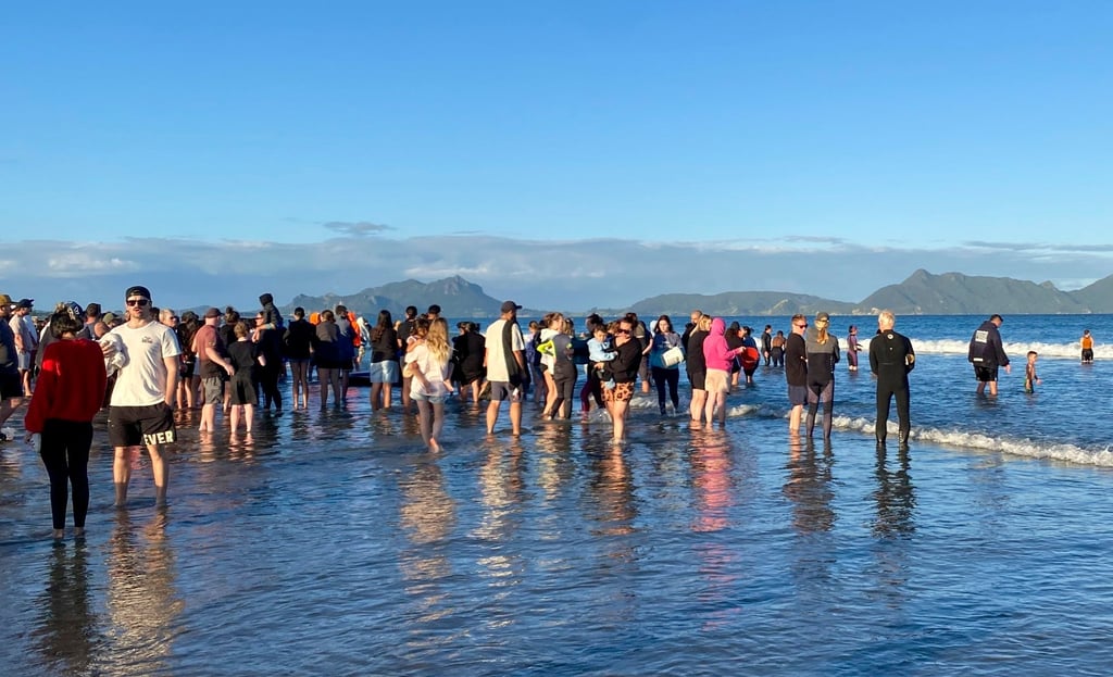 ‘Incredible’ New Zealand community unites to save 30 stranded pilot ...