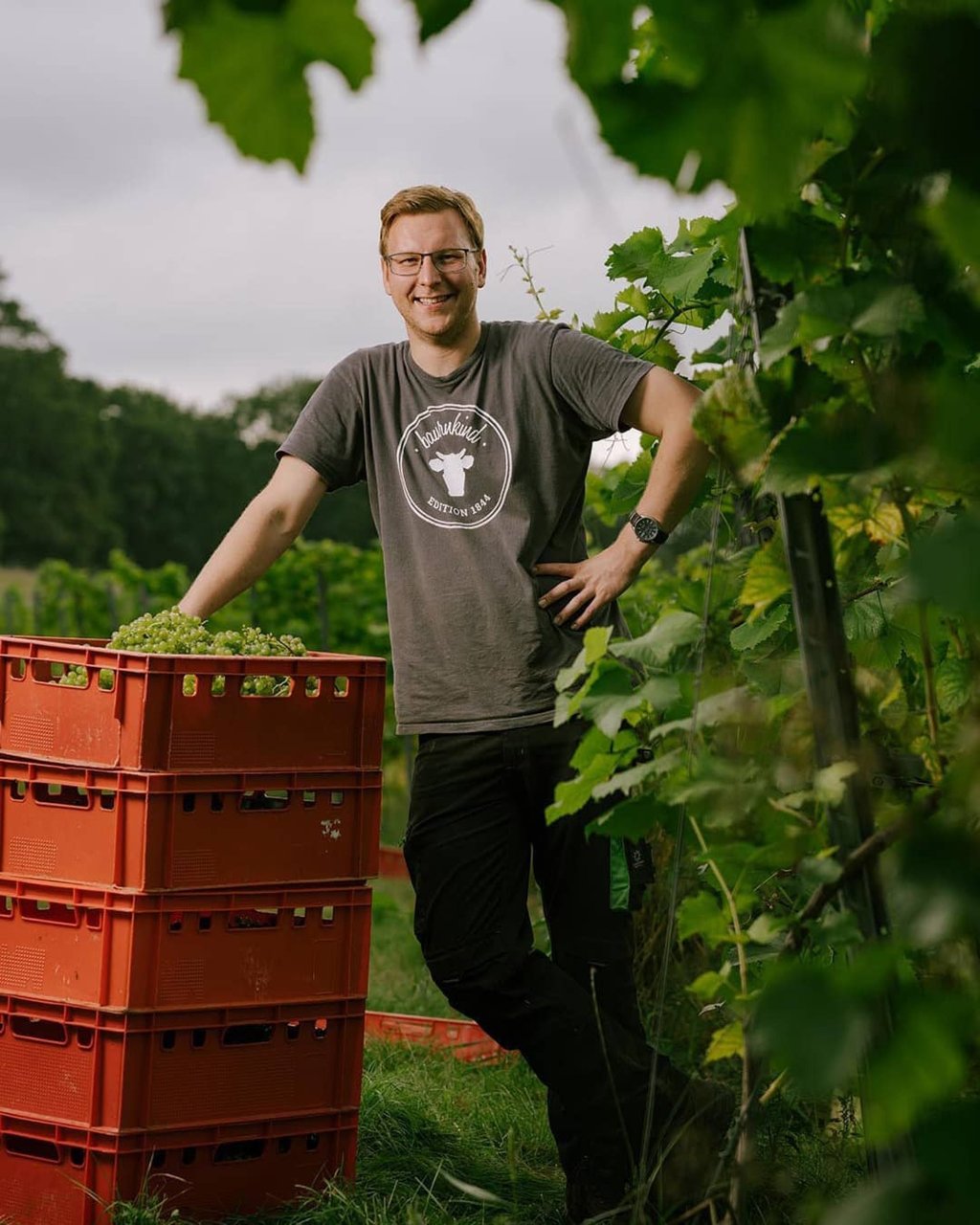 From Germany to Belgium, how climate change allows winemaking further ...