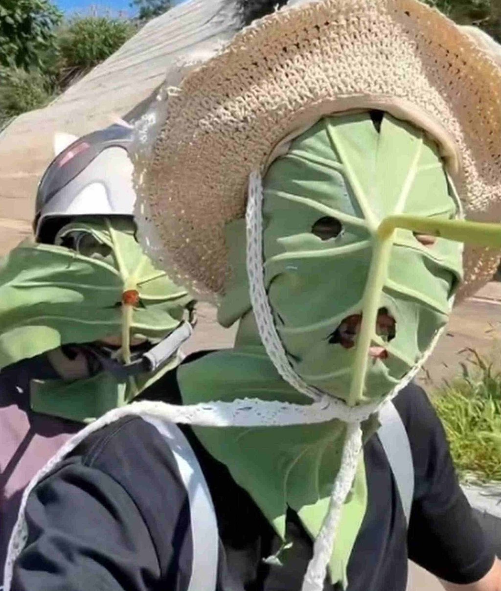 Chinese youth make sun protection masks from giant lotus leaves, ignite ...