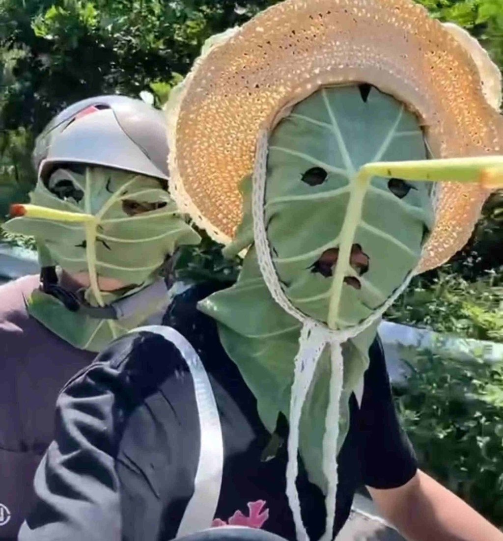 sun protection for face while driving