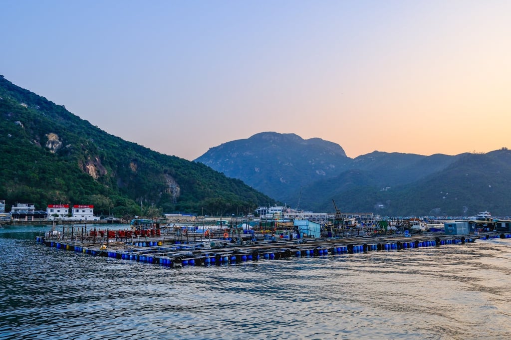 Hong Kong aquaculture scheme nurtures young fish farmers to revive city ...