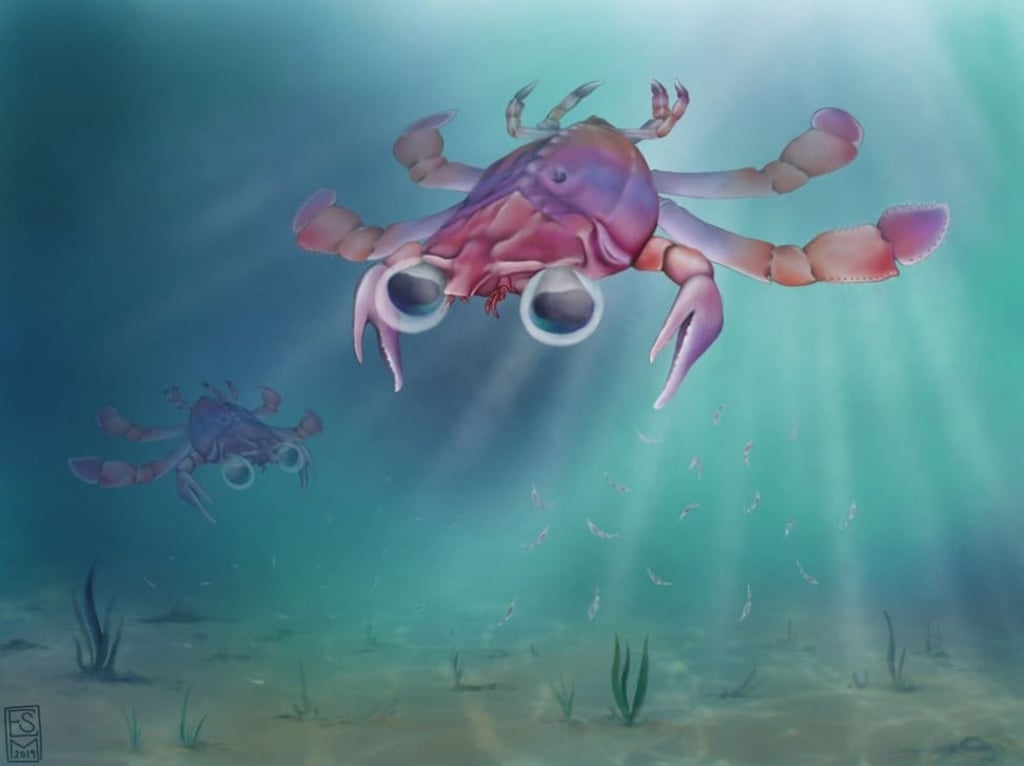 Nightmare crab with cartoon eyes: scientists discover bizarre ...