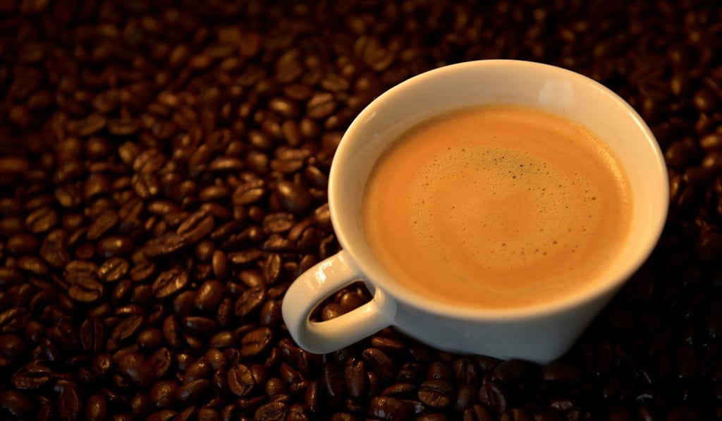 Bikini-clad baristas must cover up, US federal appeal court says ...