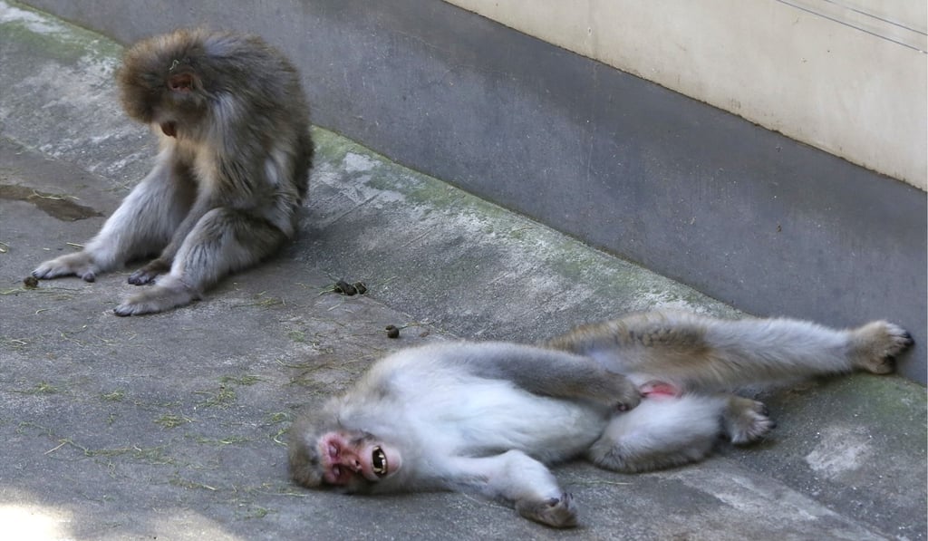 Japanese heatwave kills 57 in a week with 18,000 taken to hospital ...