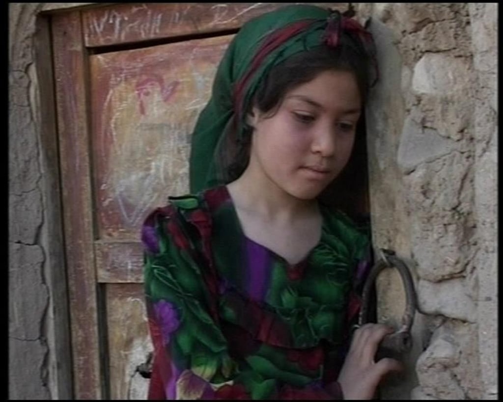A defiant voice for Afghan women: filmmaker Roya Sadat on her hopes and ...