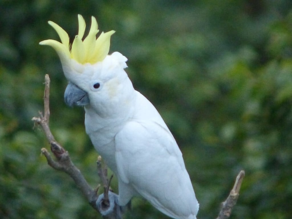 Then & Now | The role of oral history in Hong Kong’s urban legends ...