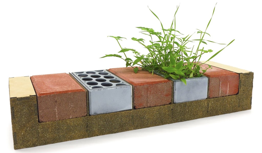 Learn to love weeds, says the landscape designer who wants to turn Hong ...