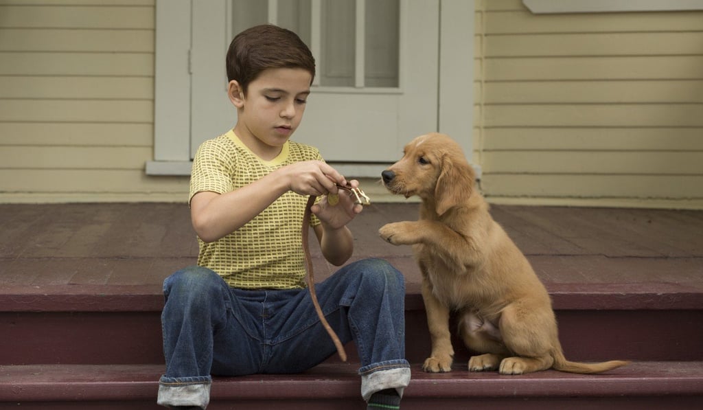 Review | Film review: A Dog’s Purpose – canine soul poses existential ...