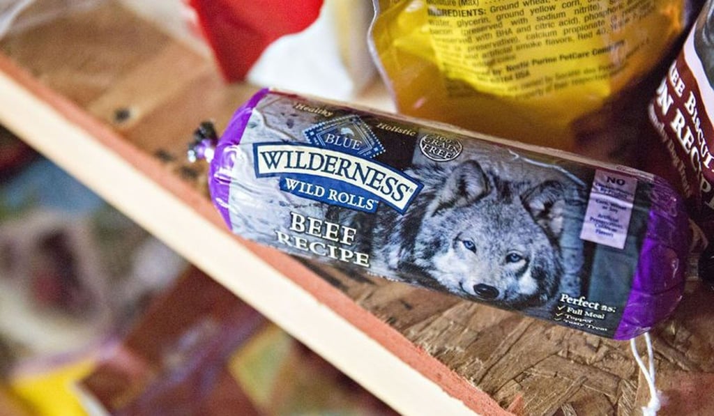 Even dogs are eating quinoa now | South China Morning Post