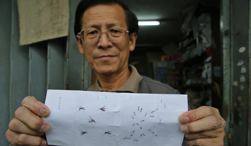 Hong Kong mini arts hub Cheung Chau is an island abuzz with creativity ...