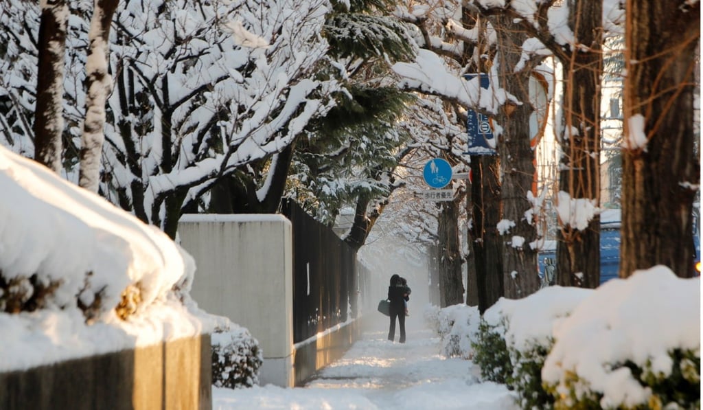 Tokyo digs out after snowstorm, but travel chaos remains, with ...